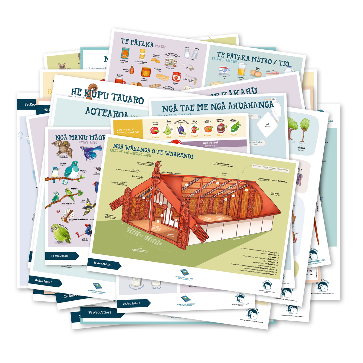 Te Reo Māori - Full Set of 16 Posters – Illustrated Publishing Store