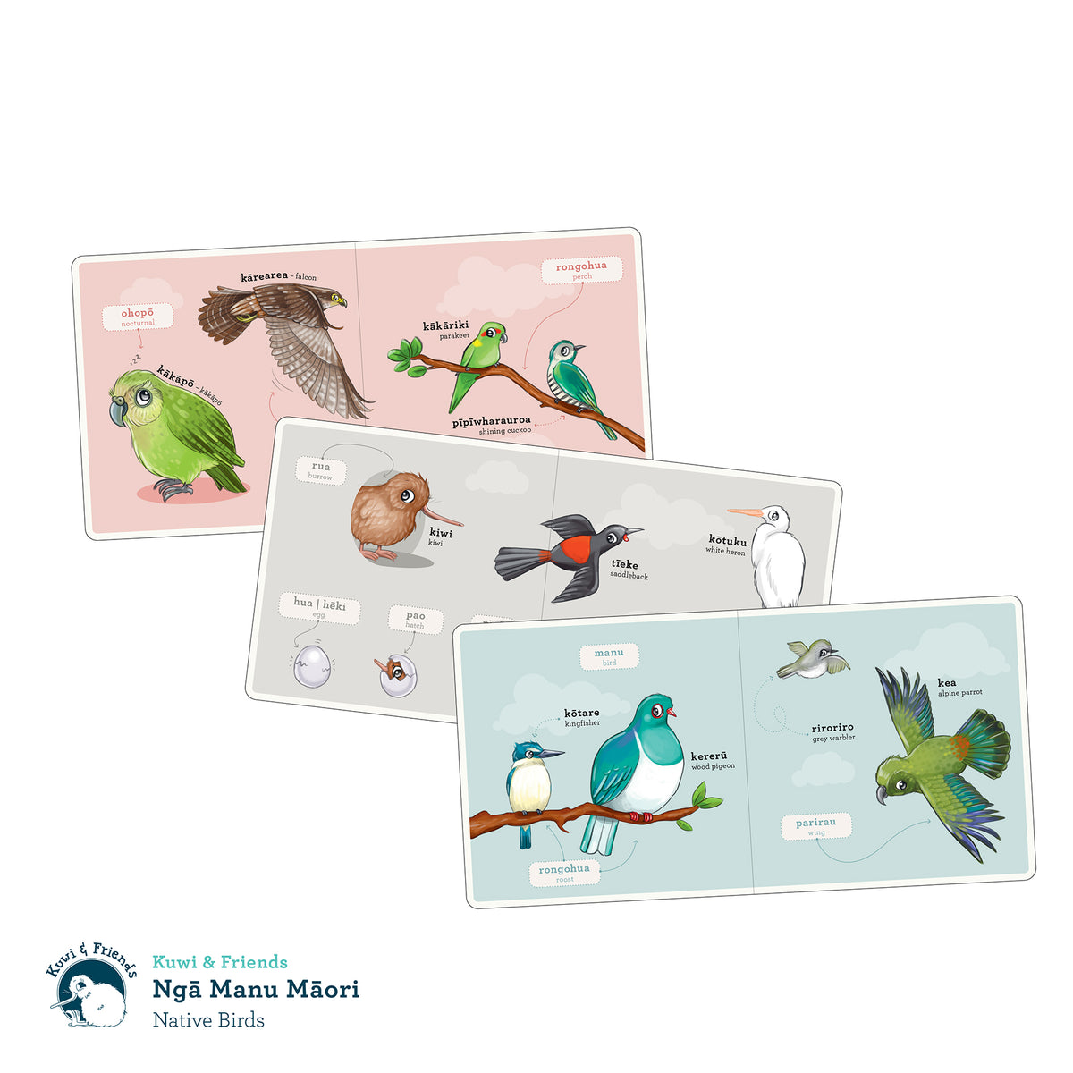 Ngā Manu Māori - Native Birds – Illustrated Publishing Store