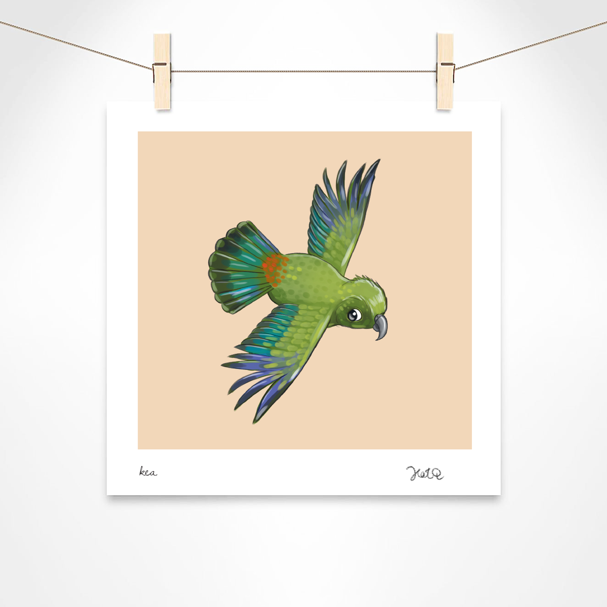 Kea - [Art Print] – Illustrated Publishing Store